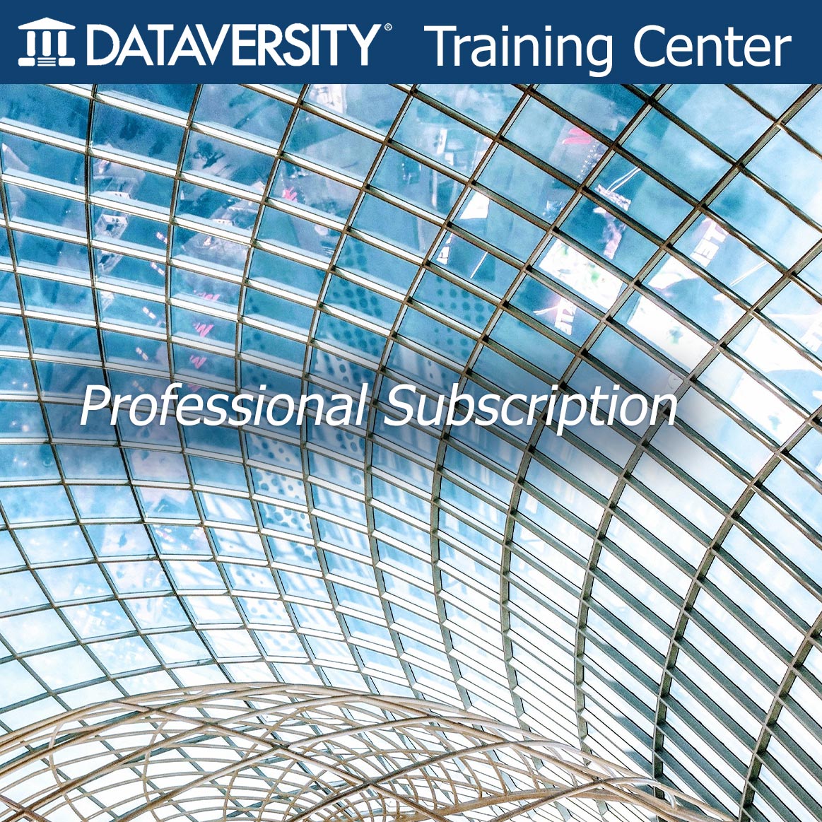 DATAVERSITY - Data Education for Business and IT Professionals